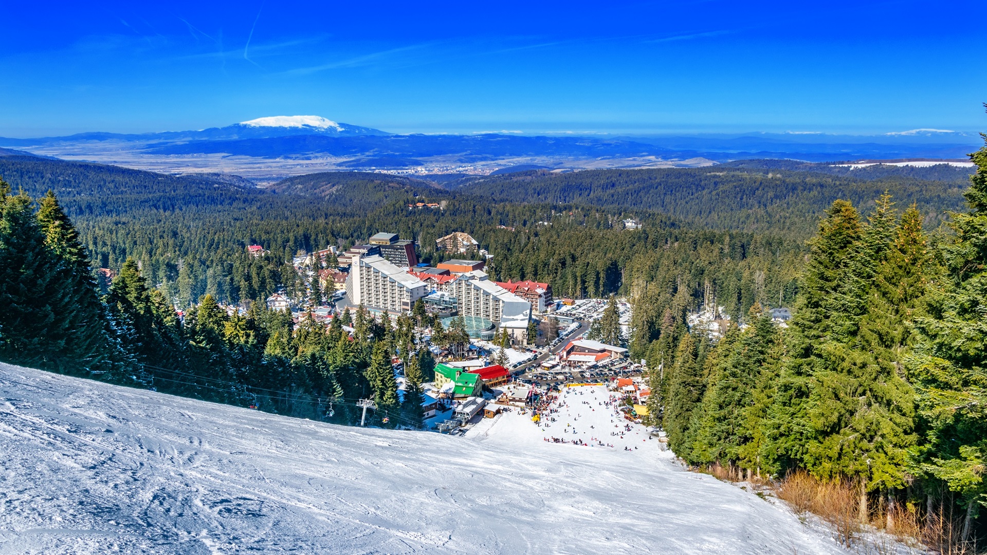 BOROVEC Leto 2026 | BUGARSKA | Turistička agencija Ponte Travel